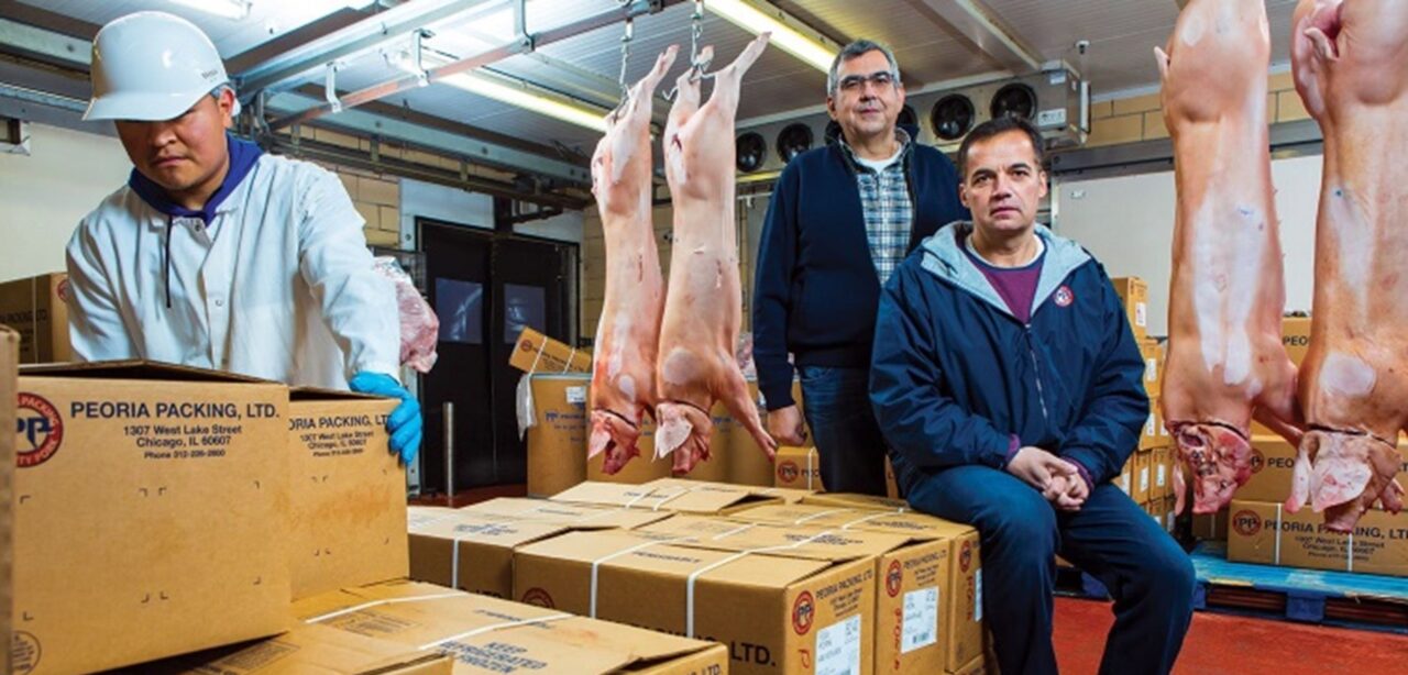 Hygienic internal transport of pig intestines - HYTT.eu